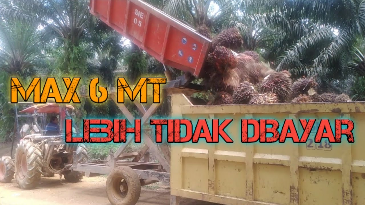 PANEN MEKANISASI KELAPA SAWIT- JAGA KESEHATAN DAN KESALAMATAN KERJA ...