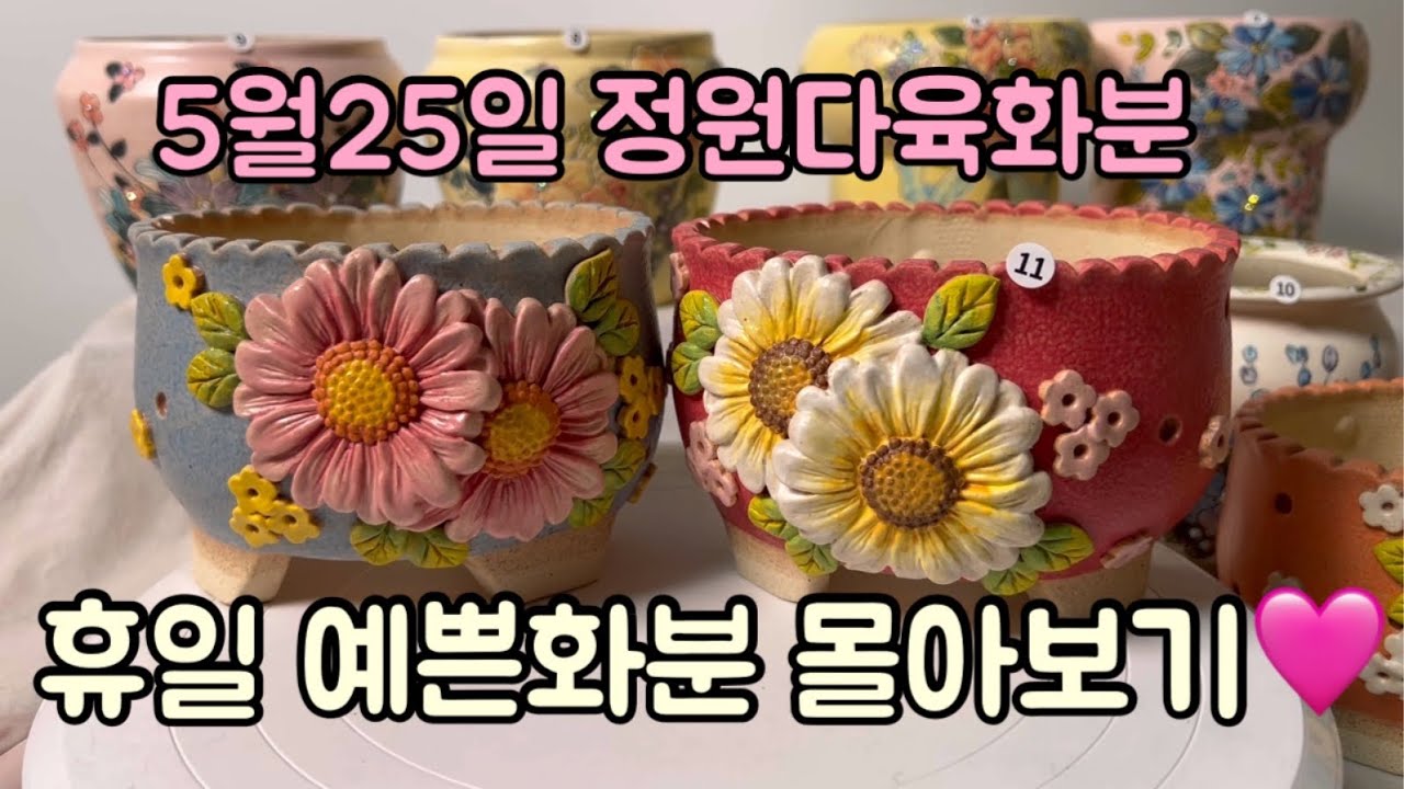 2024년 5월 25일휴일 예쁜화분 몰아보기정원다육화분 정원다육 수제공방분 예쁜화분 다육화분 다육화분싸게파는곳