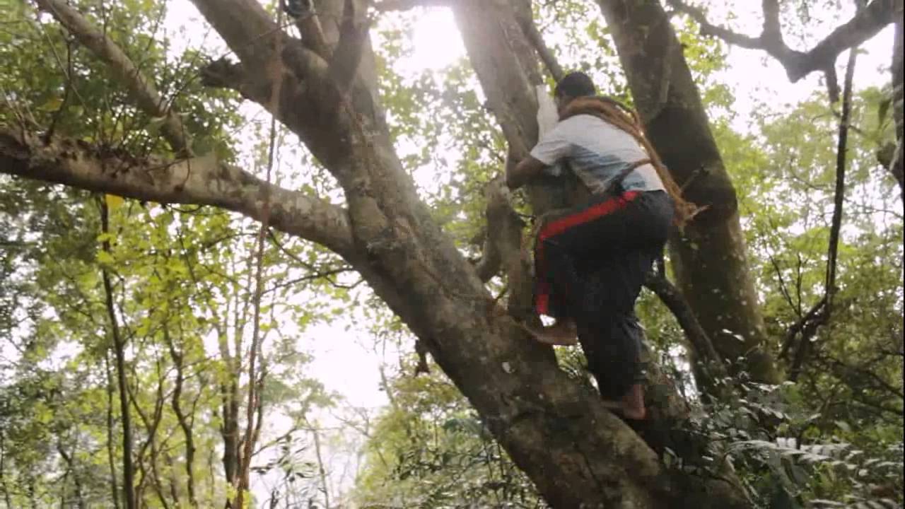 The Ultimate Survivor - Dharmaraja College Scout Group - YouTube