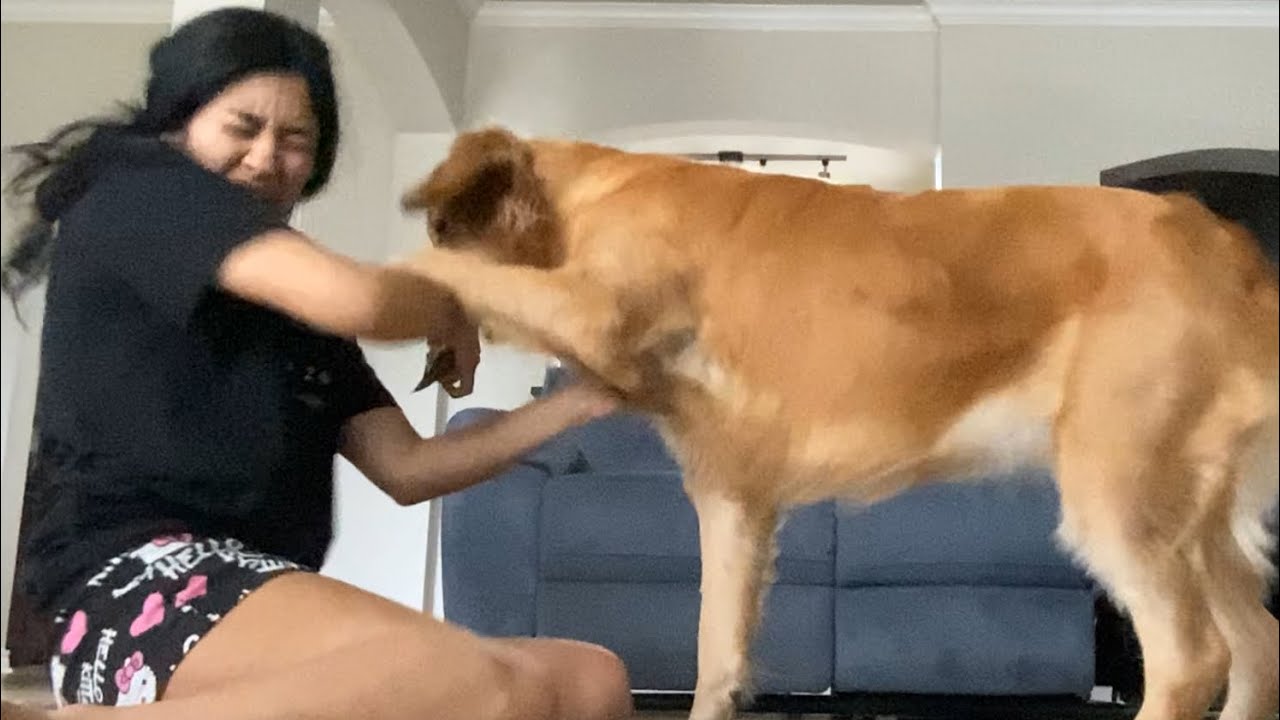 World’s MOST boring reaction. (Lilo tries POP-ROCKS) - YouTube