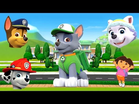 Wrong Heads | Rocky Paw Patrol