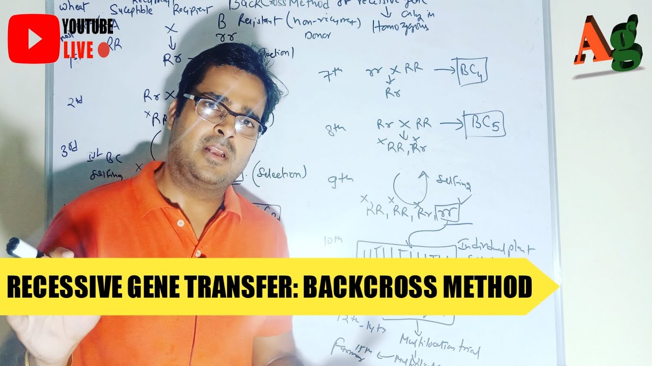 Backcross Method of Recessive Gene Transfer | Plant Breeding ...