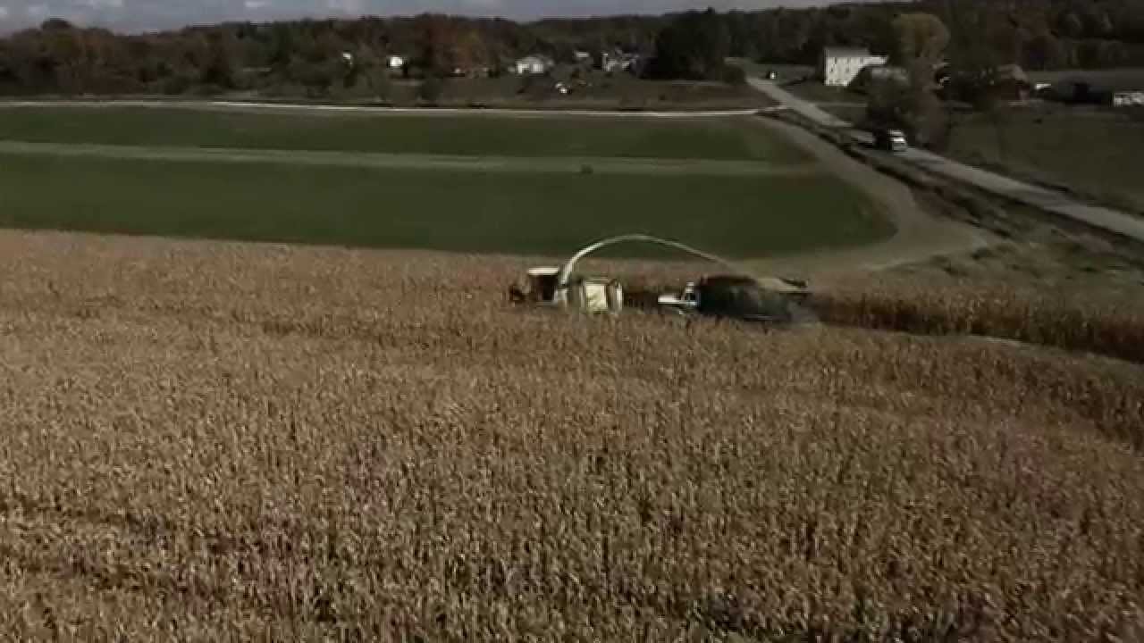 Phoenix Feeds & Nutrition: Dedication - YouTube