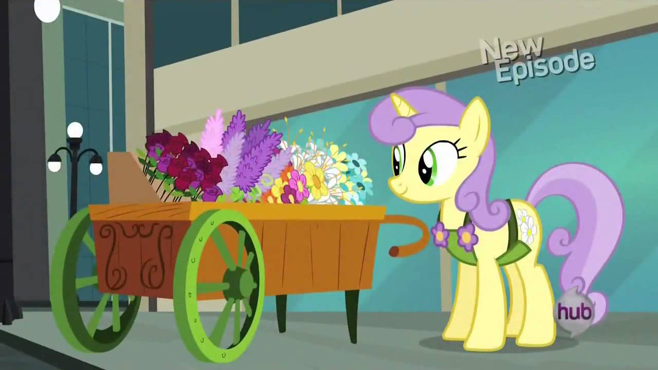 My Little Pony generosity song - YouTube