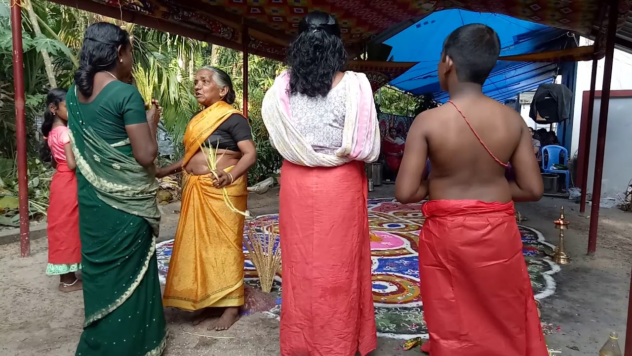 Sarppam Thullal 2019 (വലിയ വീട്ടിൽ ശ്രീ നാഗരാജ ക്ഷേത്രം തമ്പകച്ചുവട് ...