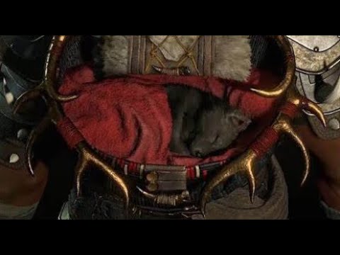 DIABLO 4 How to Equip Wolf Pack Pup Cosmetic - YouTube