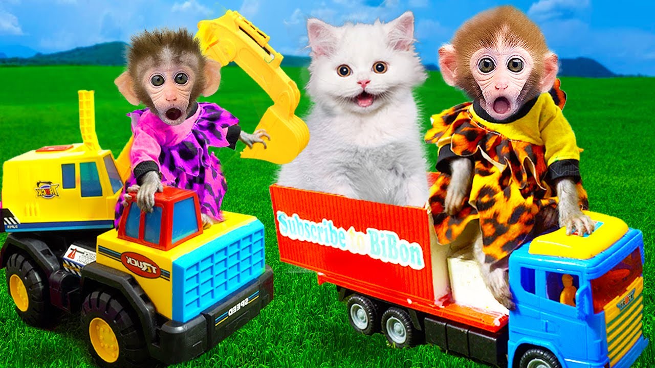 Monkey Bon Bon rescue cat stuck in the house | maymun Animal HT - YouTube