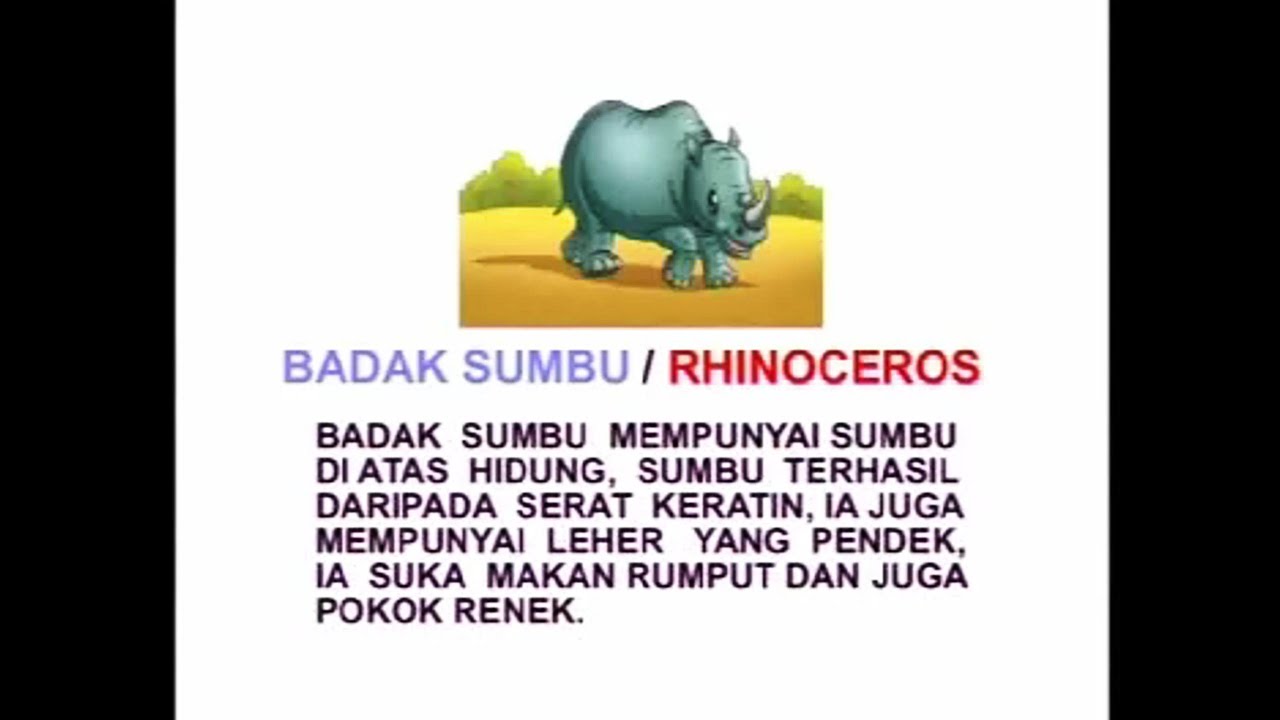 [ Badak Sumbu / Rhinoceros ] Satu Hari Di Zoo Negara (Belajar Nama ...
