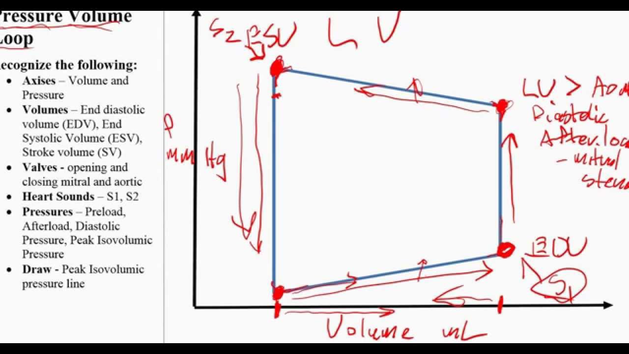 02 Pressure Volume Loop - YouTube