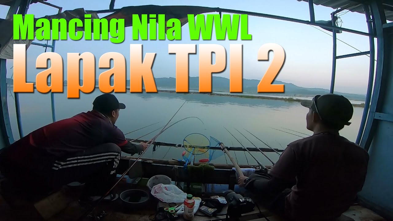 Mancing Nila Waduk Wadaslintang [wild tilapia fishing] - YouTube