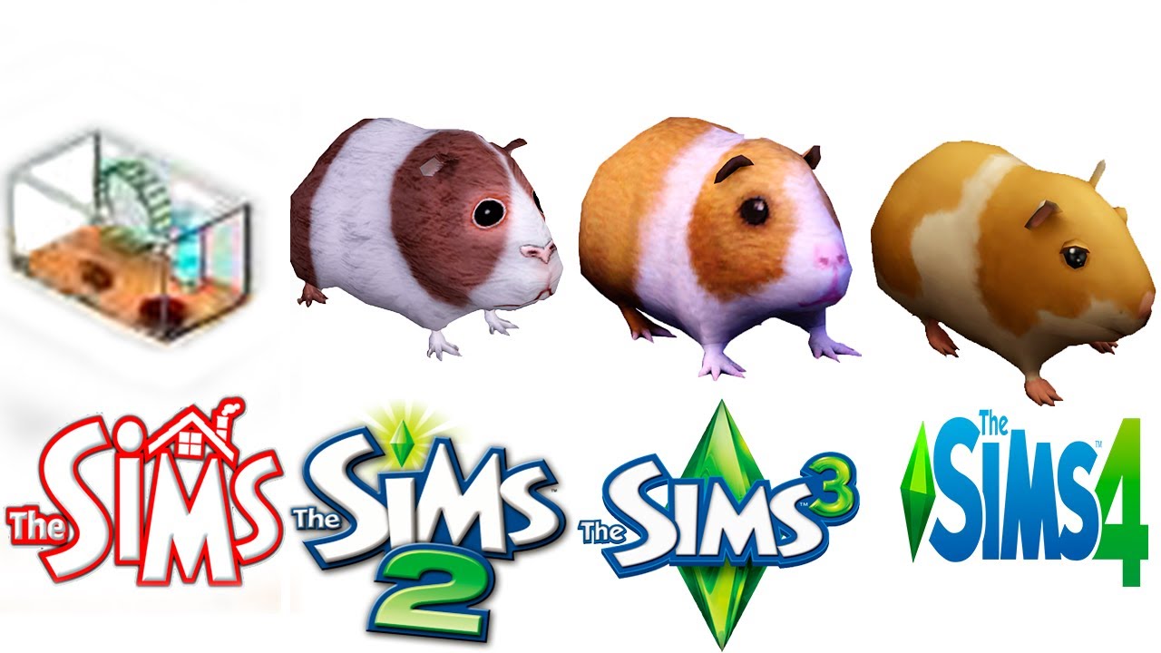 ♦ Hamsters (and such) ♦ Sims1 vs Sims2 vs Sims3 vs Sims4 - YouTube