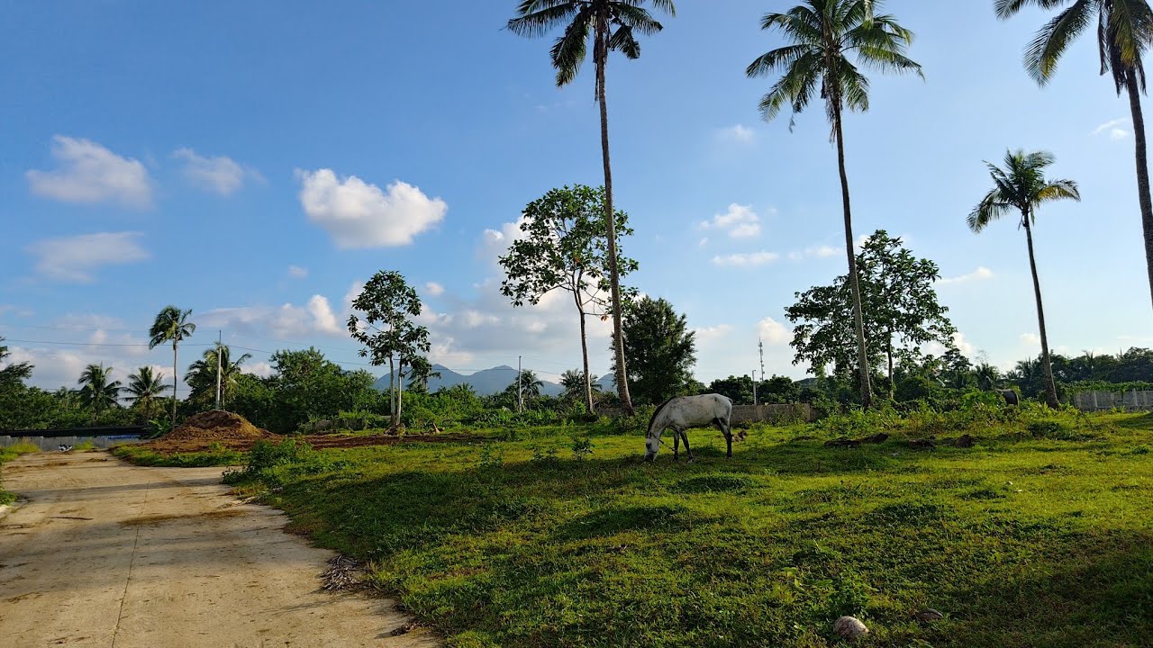 MURANG FARMLOT WITH MOUNTAIN VIEW SA PROBINSYA NG CAVITE 400 357SQM ...