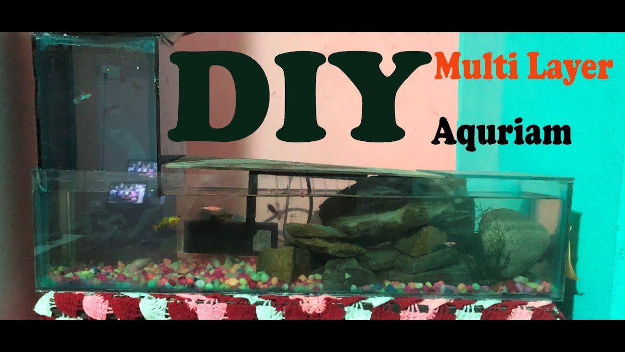 DIY Multilevel Mini Aquarium 🇳🇵 ️ - YouTube