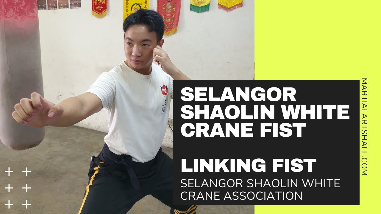 Selangor Shaolin White Crane Fist : Linking Fist - YouTube