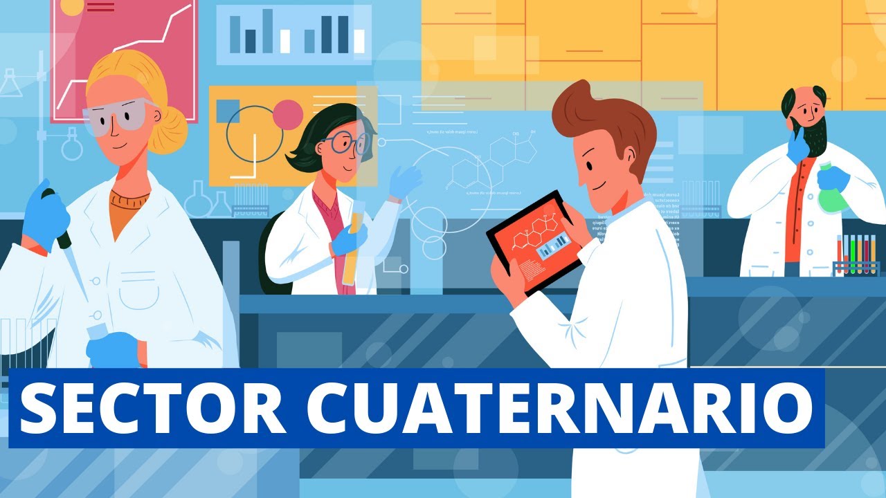¿Qué es el SECTOR CUATERNARIO? (Actividades Económicas y Ejemplos)👨‍💻📈 ...