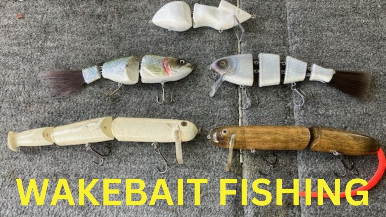 Top Wake Baits For Bass: When, Where, And How To Hook The Big Ones ...