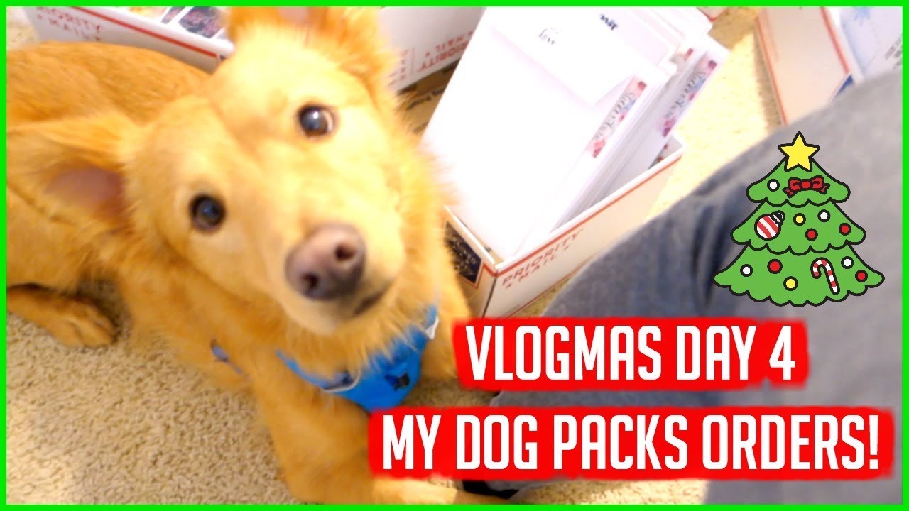 My Dog Packs Orders // VLOGMAS DAY 4 // Sticker Guru - YouTube