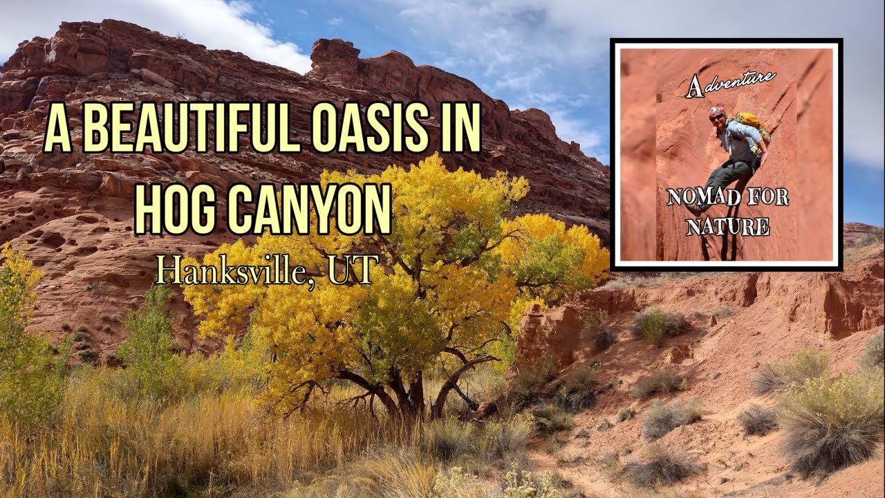 A Beautiful Relaxing Oasis in Hog Canyon / Glen Canyon National ...