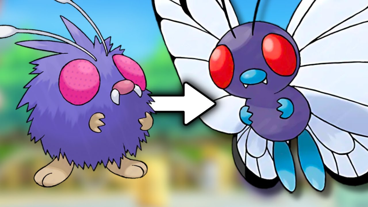 EVERY Kanto Bug Type Pokemon EXPLAINED! - YouTube