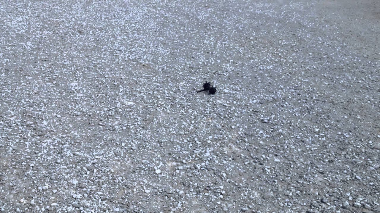 Recon Scout XT "Throwbot" - YouTube