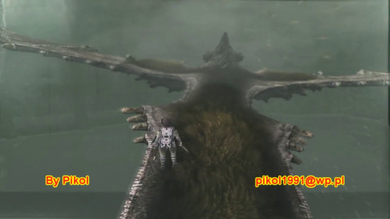 Shadow of the Colossus - New bugs & secrets unused scenes (part 2) by ...