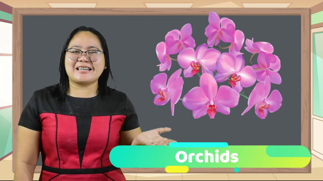 TEACHER PRINCESS ENGLISH WEEK 4 - YouTube