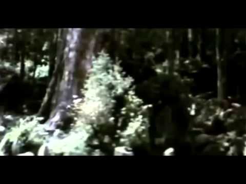Chi Kuan Chun in The Golden Mask 1980 German
