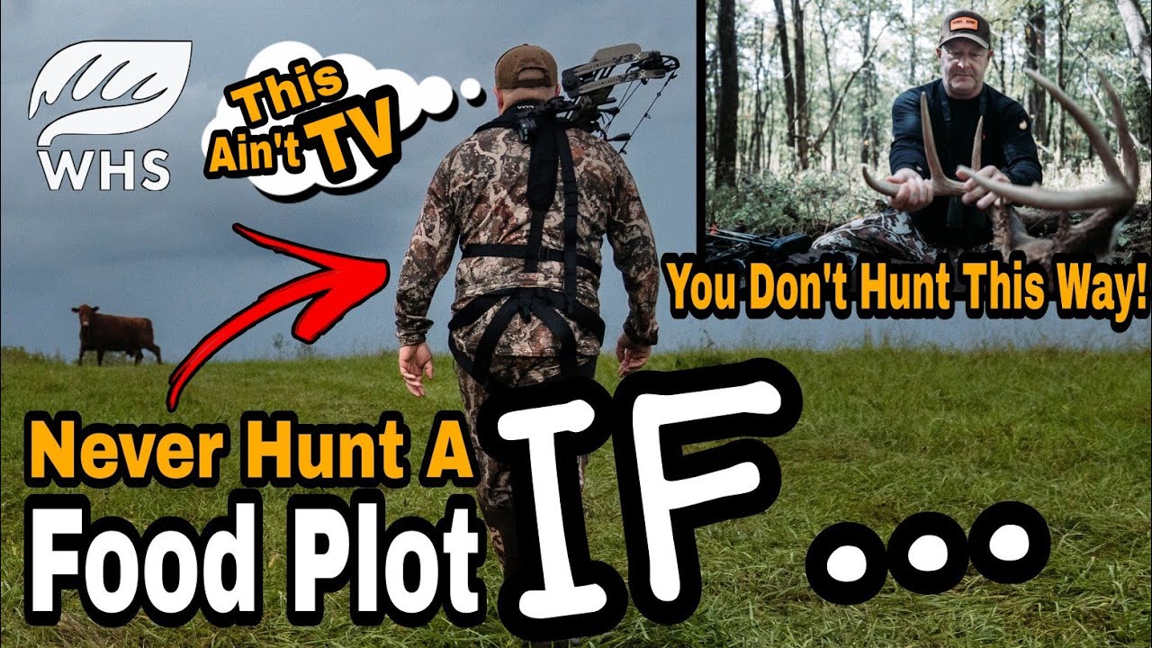 5 Hunting Plot Setup Rules - YouTube