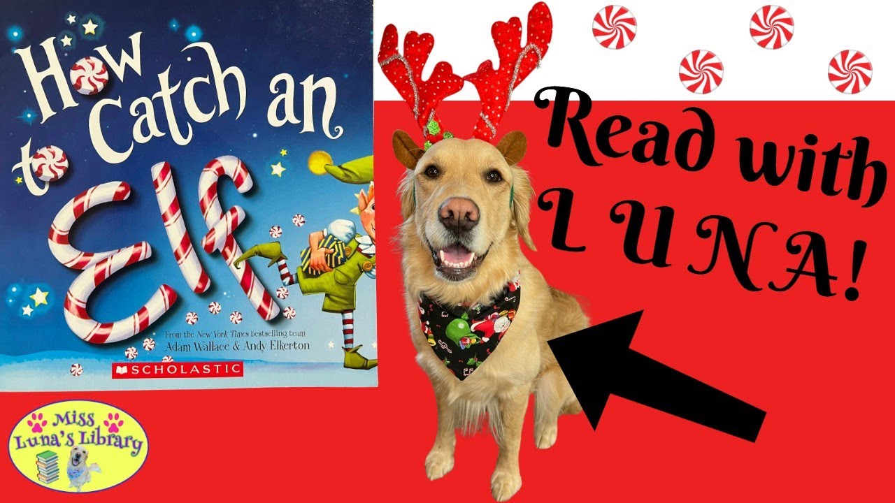 HOW TO CATCH AN ELF! | Story Time with Luna - YouTube