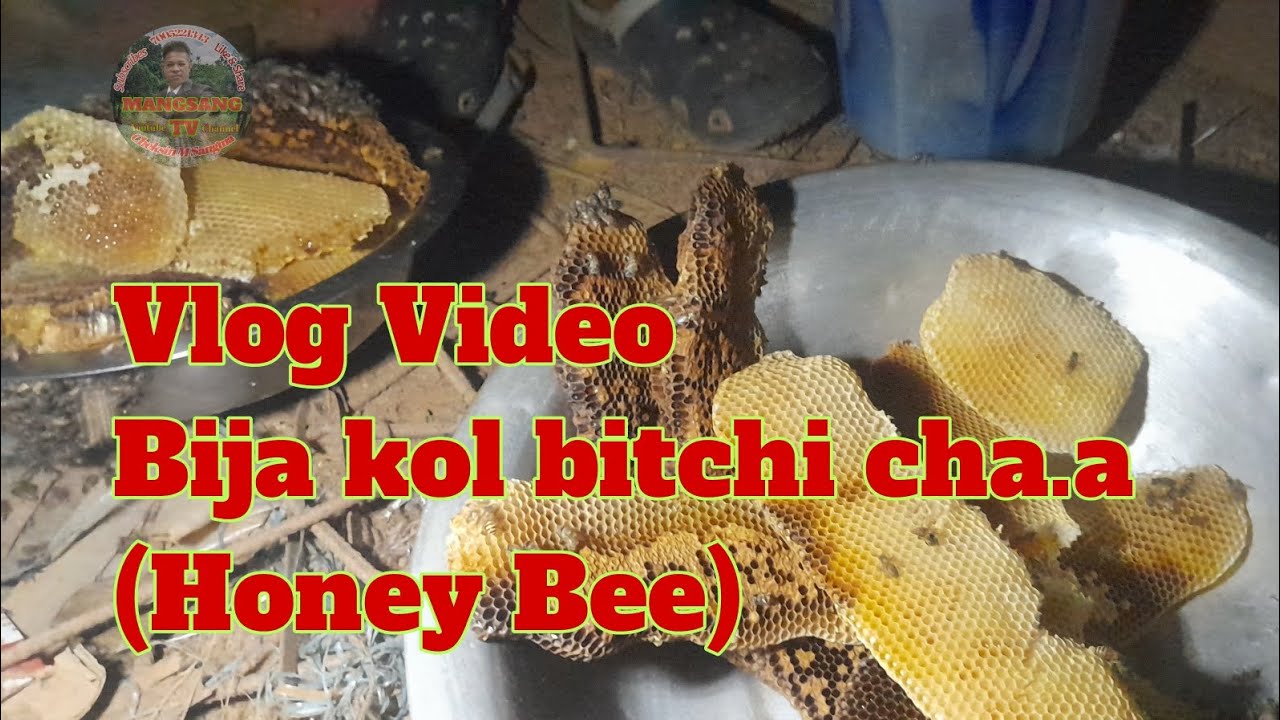 Vlog Video||Bijakol bitchi cha.a|| Honey Bee. - YouTube