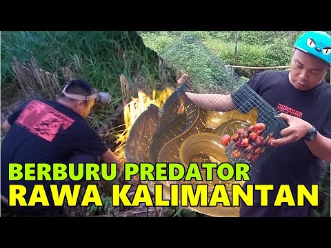 CARA MUDAH TANGKAP LEMBAT / LELE RAWA KALIMANTAN