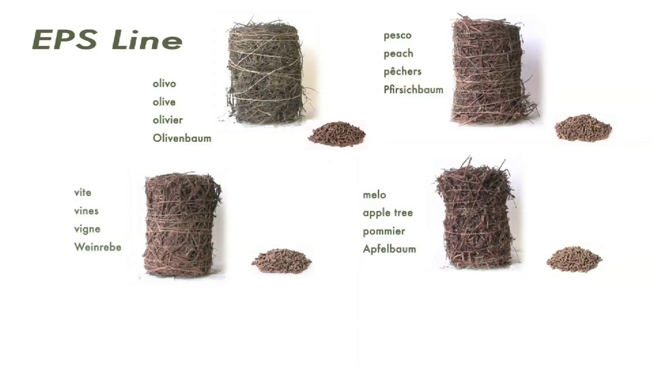 EASYSYSTEM EPS LINE - Pruning and trimming processing - YouTube