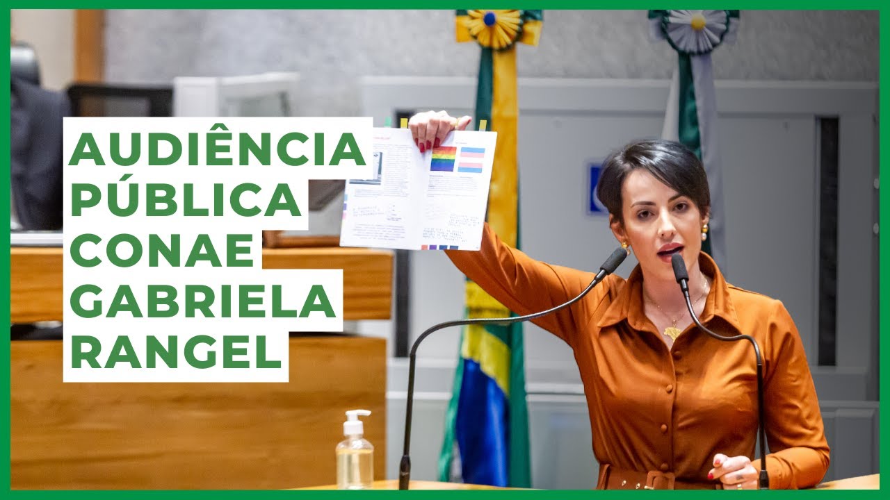Audiência Pública Conae - Gabriela Rangel - YouTube