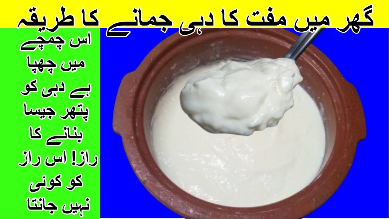 Ramadan Special Low Cost Yogurt Recipe | Bina Doodh K Dahi Jamane Ka ...