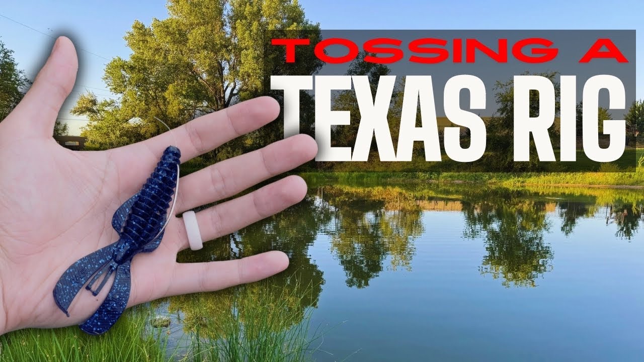 Fishing for Texas Rig Bass! - YouTube