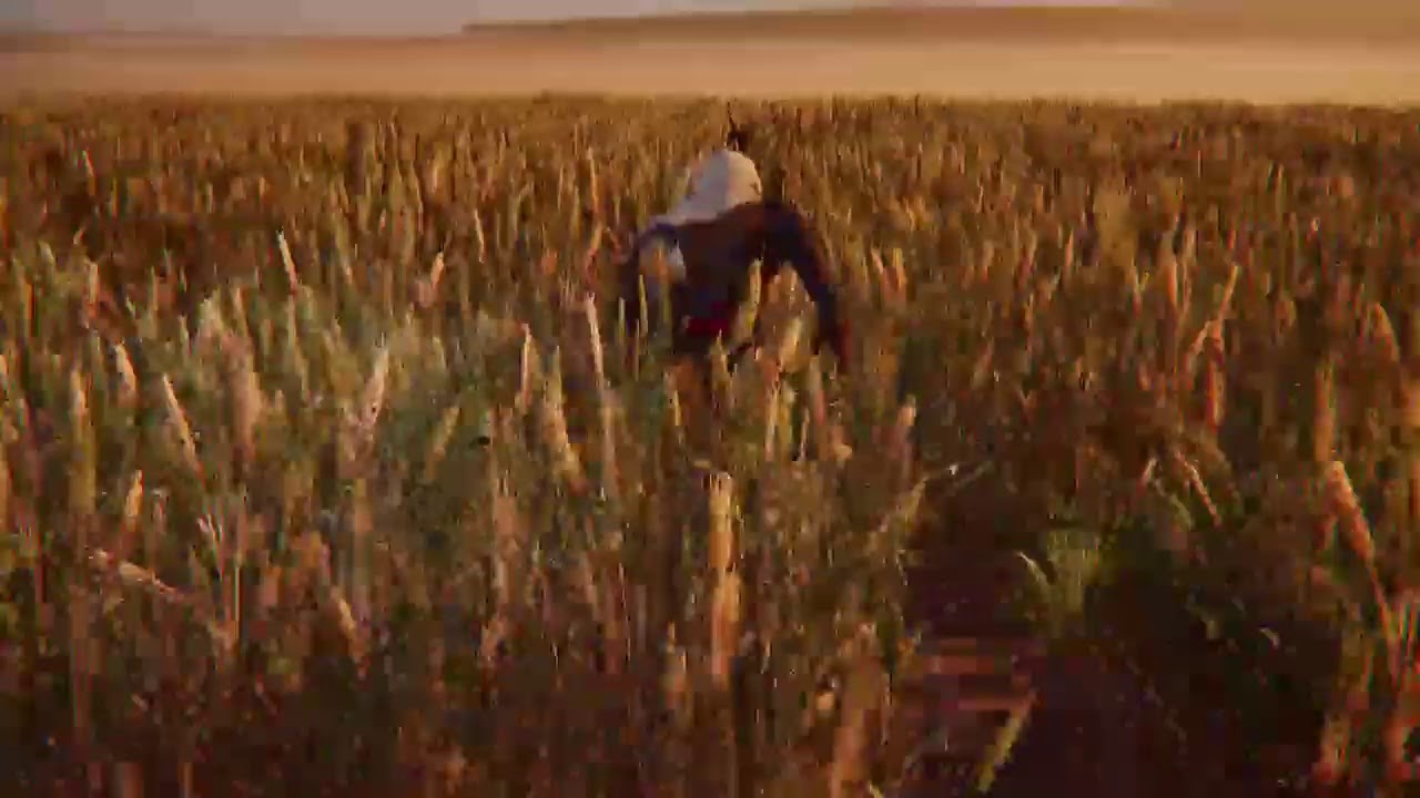 Assassin´s creed : Origin the sole snake fight - YouTube