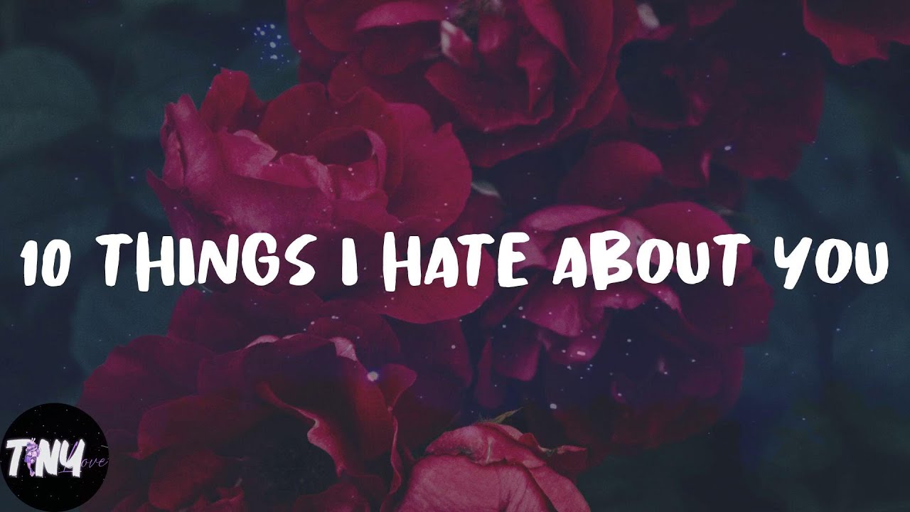 Leah Kate 10 Things I Hate About You Lyrics YouTube leah-kate-10-things-i-hate-about-you-lyrics-youtube