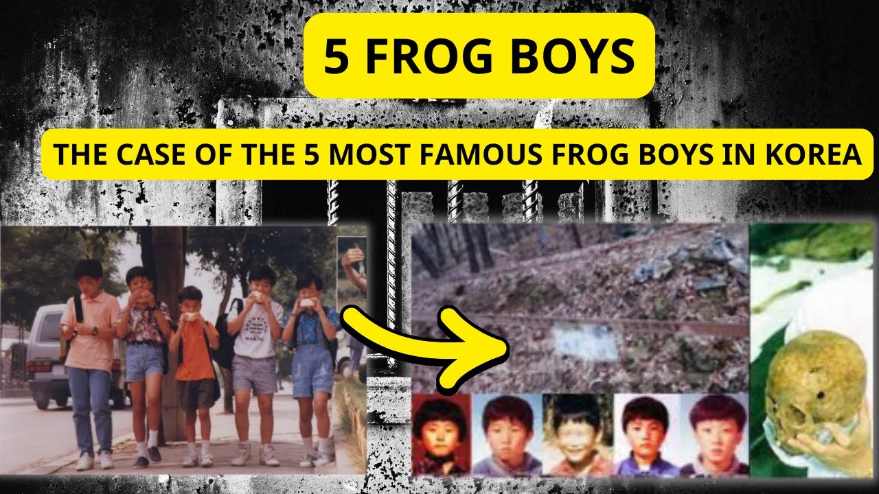 5 Boys Disappeared While Playing in the Forest - The Frog Boys Case That Shocked South Korea ...