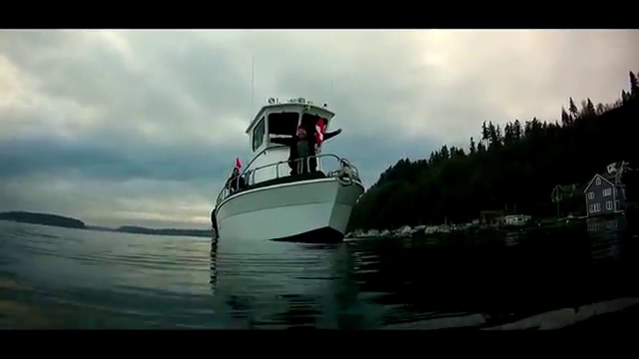 Dalco Wall / Sunrise Boat Dive - YouTube