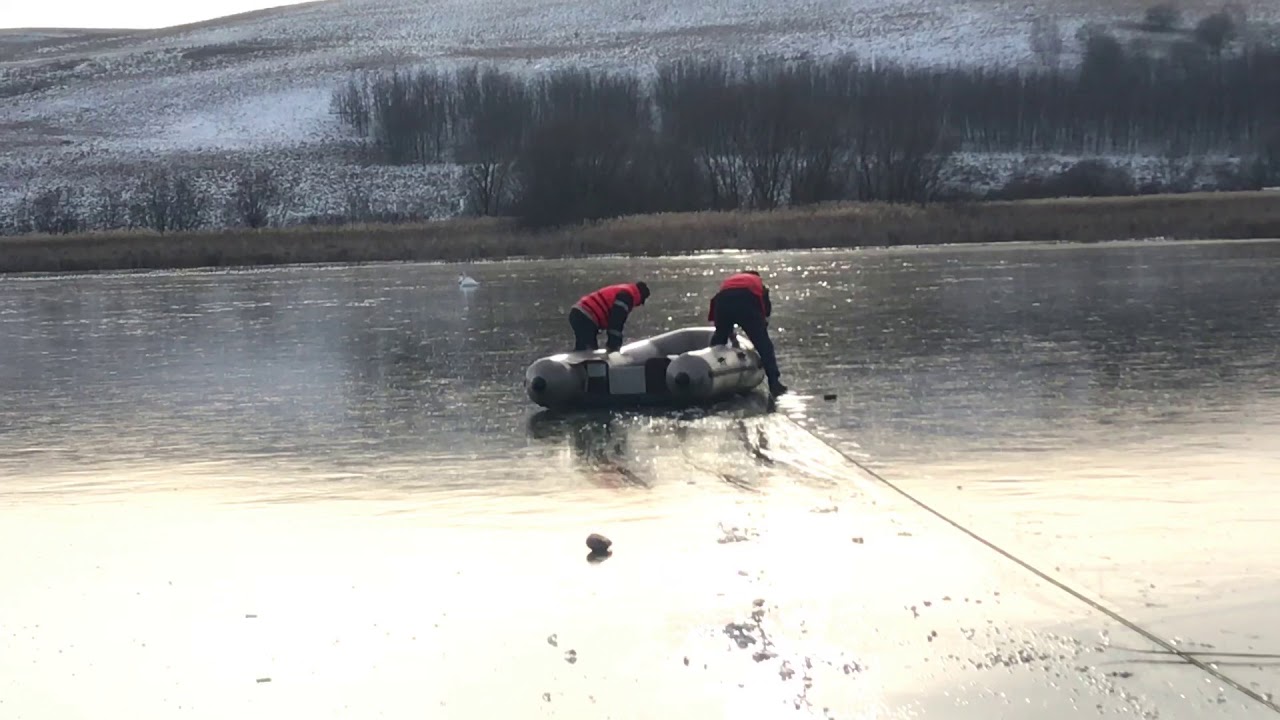 Interventie de salvare lebede pe lac Filea - Ciurila - YouTube