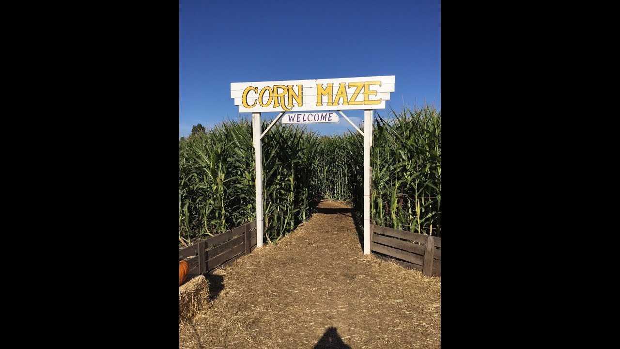 Melon Shack Corn Maze - YouTube