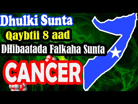DHULKII SUNTA|Radioactiveka/Falkaaha Sunta Ka so Baxaya iyo Cudurada ...