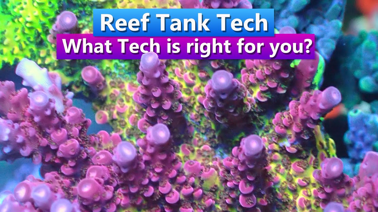 Saltwater Reef Tank Technology - What Tech is right for you? - YouTube
