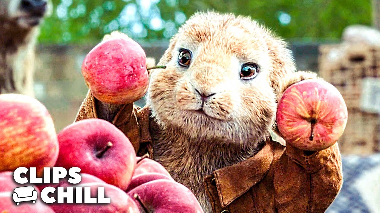 Peter's Pals Get Captured | Peter Rabbit 2: The Runaway - YouTube