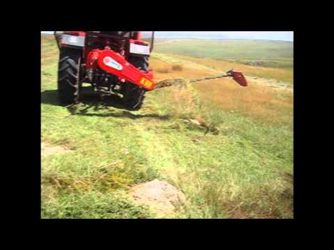 mekansız kral çayır biçme