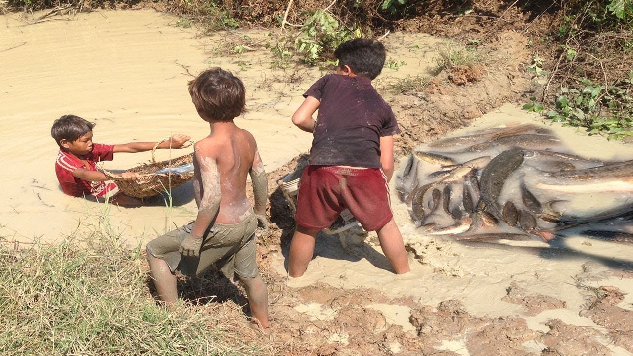 Boys Catching Fish In Cambodia - How Two Brave Children Catching Big ...