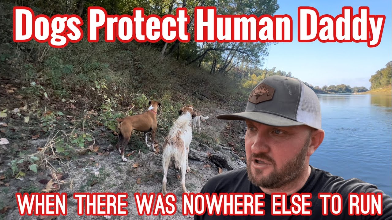 Surrounded By Predators - Guard Dogs To My Rescue! - YouTube