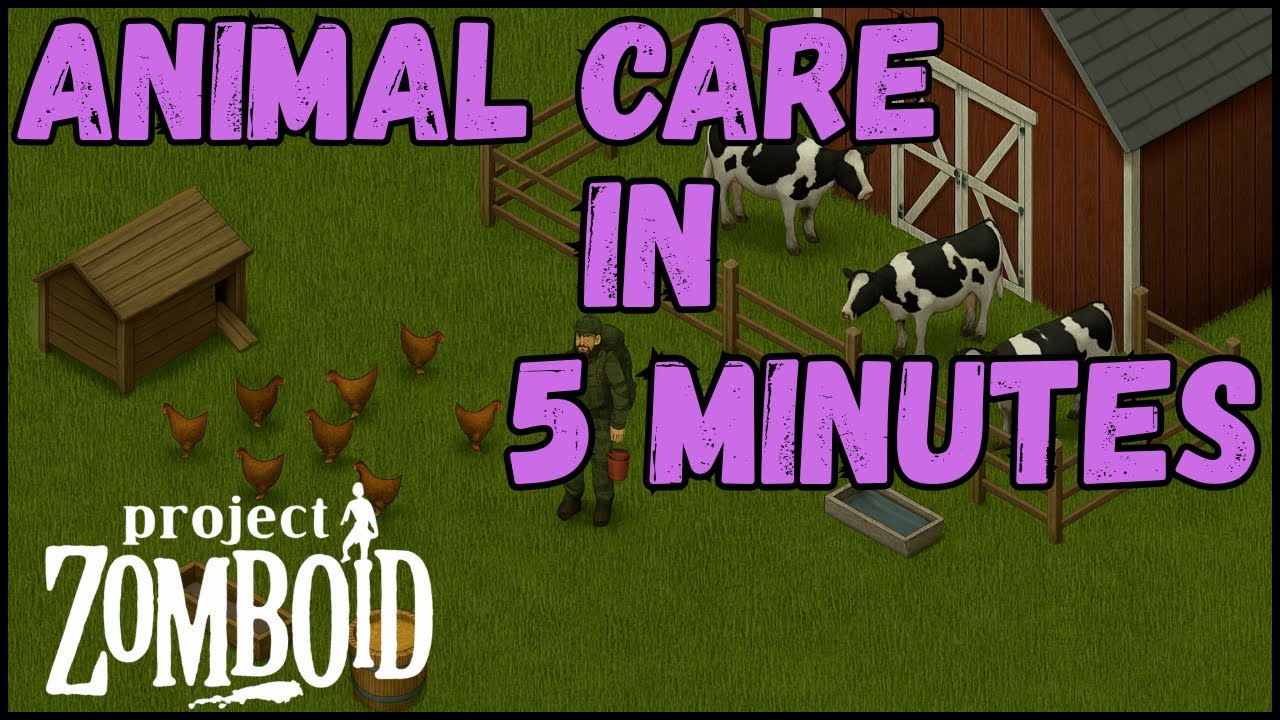 HOW TO: Animal Care in 5 Minutes - Cows and Chickens In Project Zomboid ...
