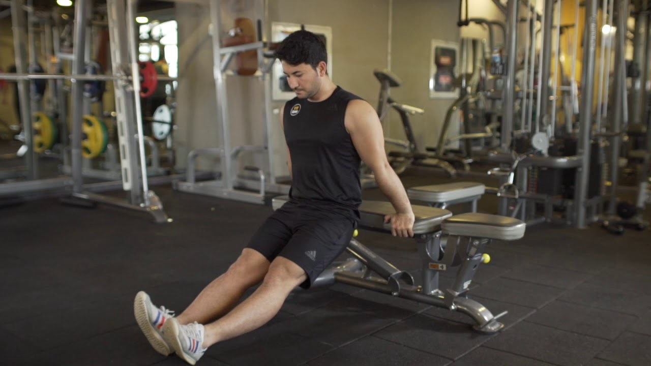 Dip, Bench Assisted - YouTube