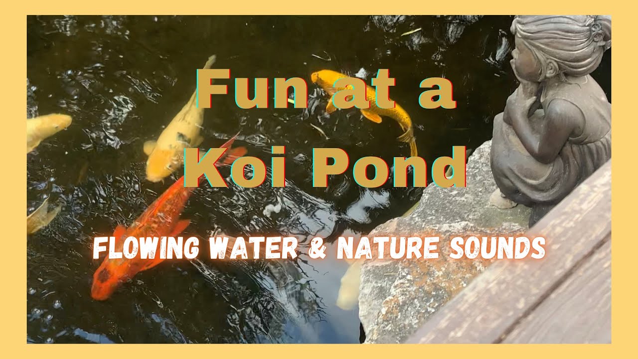 Koi Pond With Nature And Water Sounds | Nature Scenes | Calming Forest ...